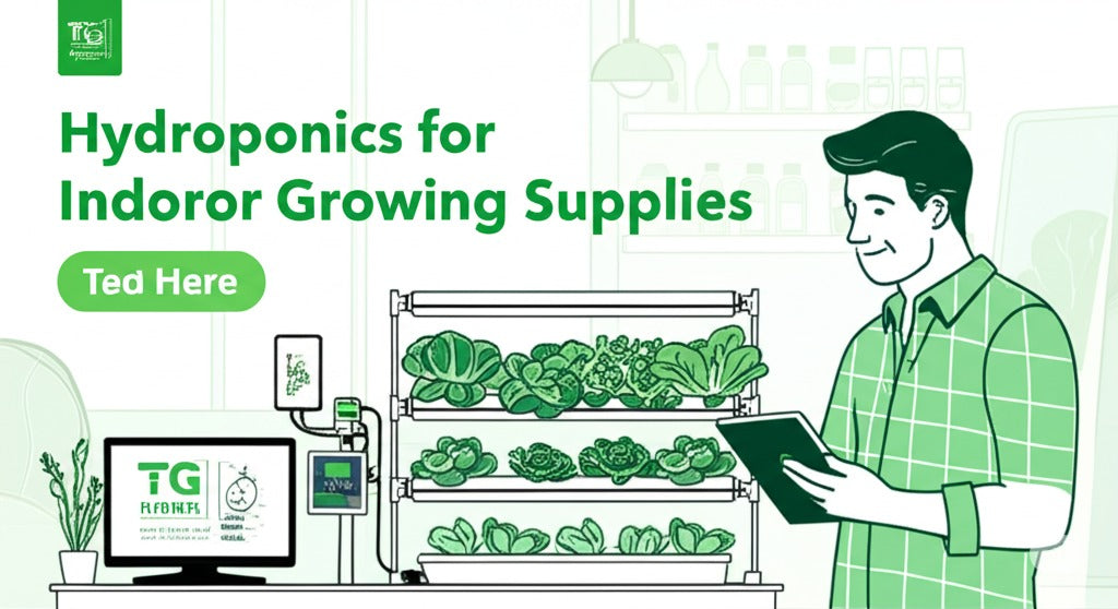 Top Hydroponic Stores in Melbourne – Where Urban Growers Thrive