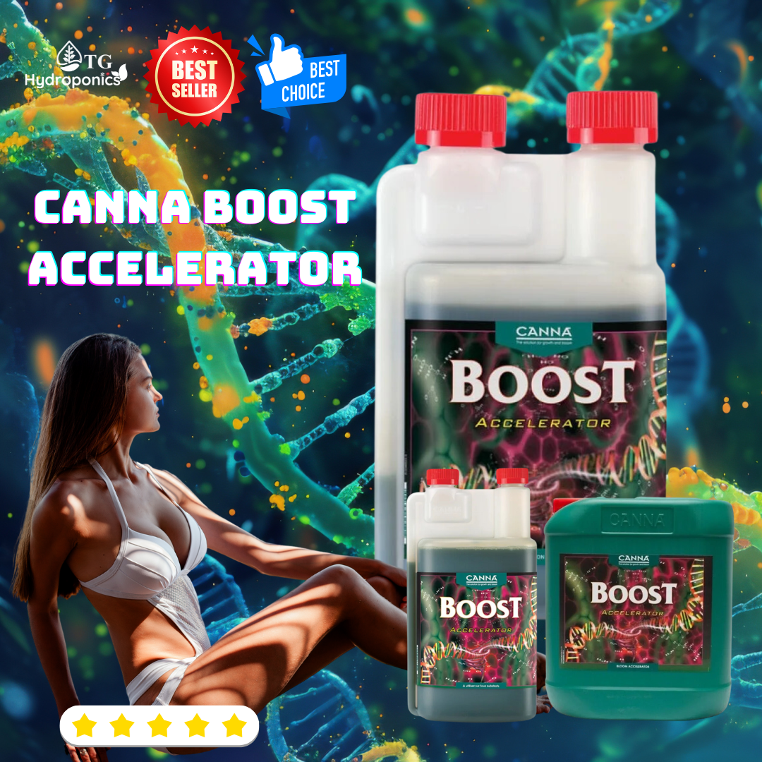 Canna Boost Accelerator