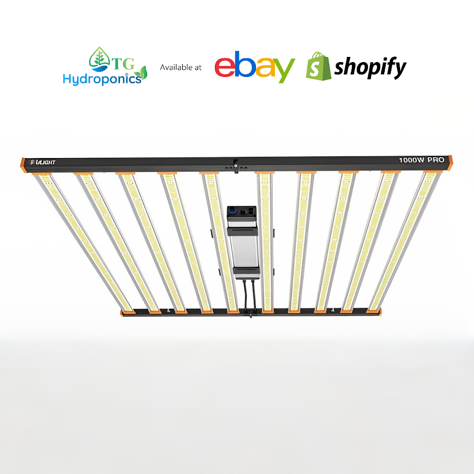 Ulight 1000W LED 10 Bar