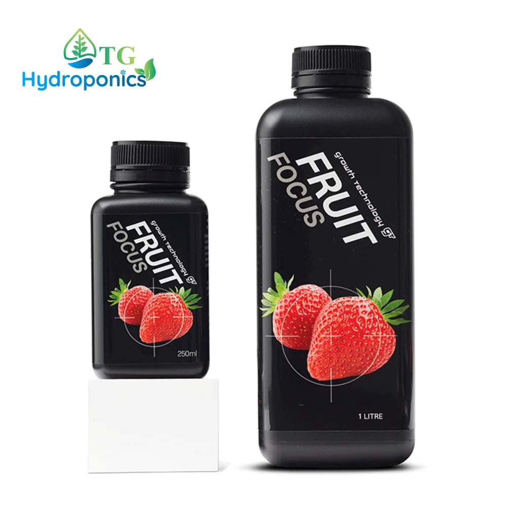 GT Fruit Focus