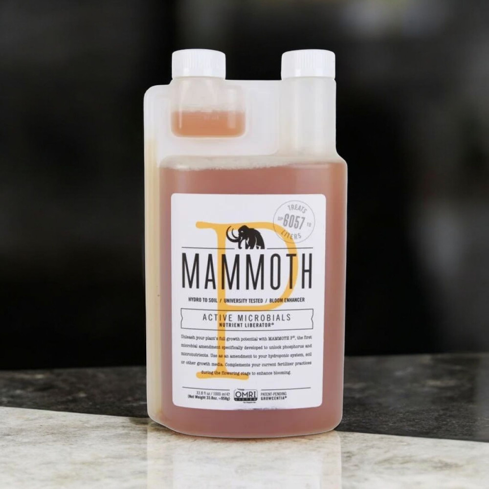 Mammoth P
